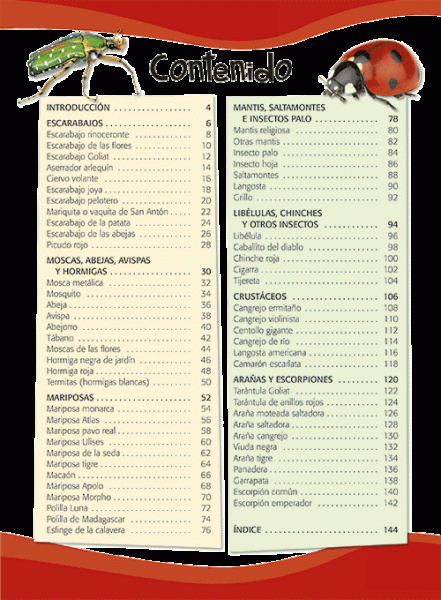 -Insectos y Otros Animales – REINO ANIMAL – Libsa