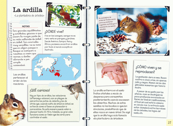 -Guía de animales Domesticos y del Bosque – APUNTES de NATURALEZA – Libsa