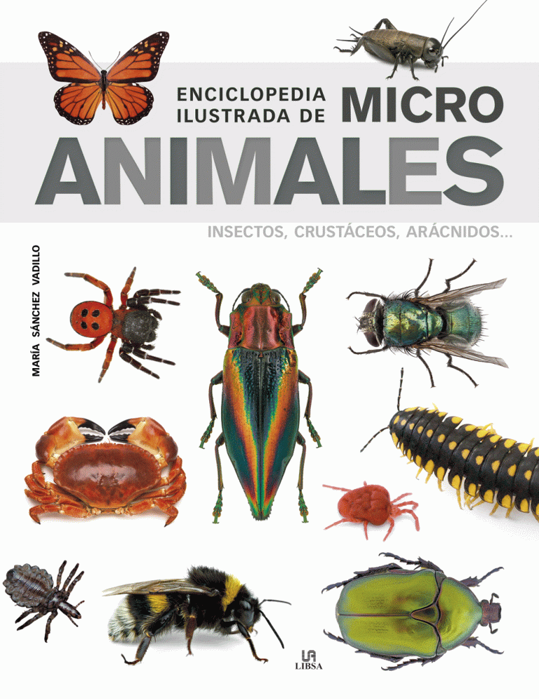 -Enciclopedia Ilustrada de Micro Animales – Libsa