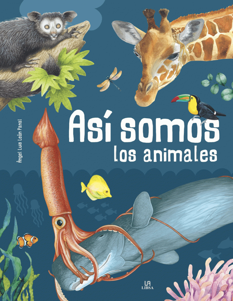 Libsa – Editorial