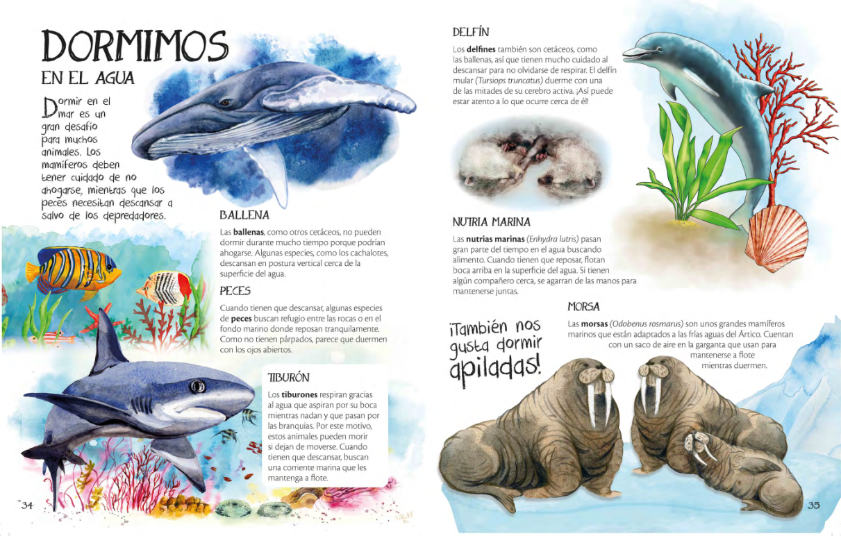 -Así Vivimos los Animales – ANIMALIA – Libsa