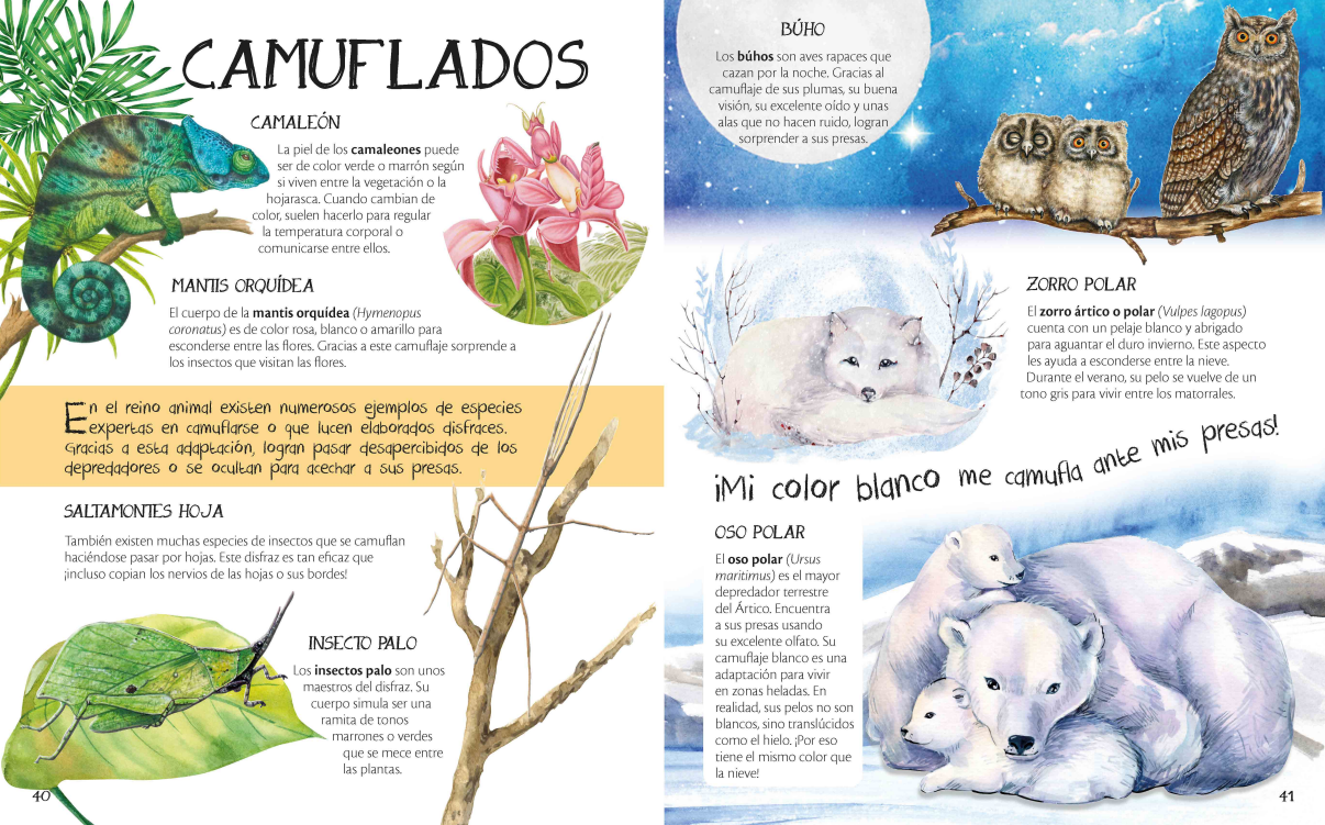 -Así Vivimos los Animales – ANIMALIA – Libsa