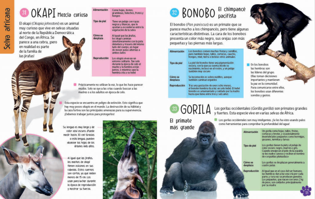 -101 Animales – EXPLORA 101 – Libsa